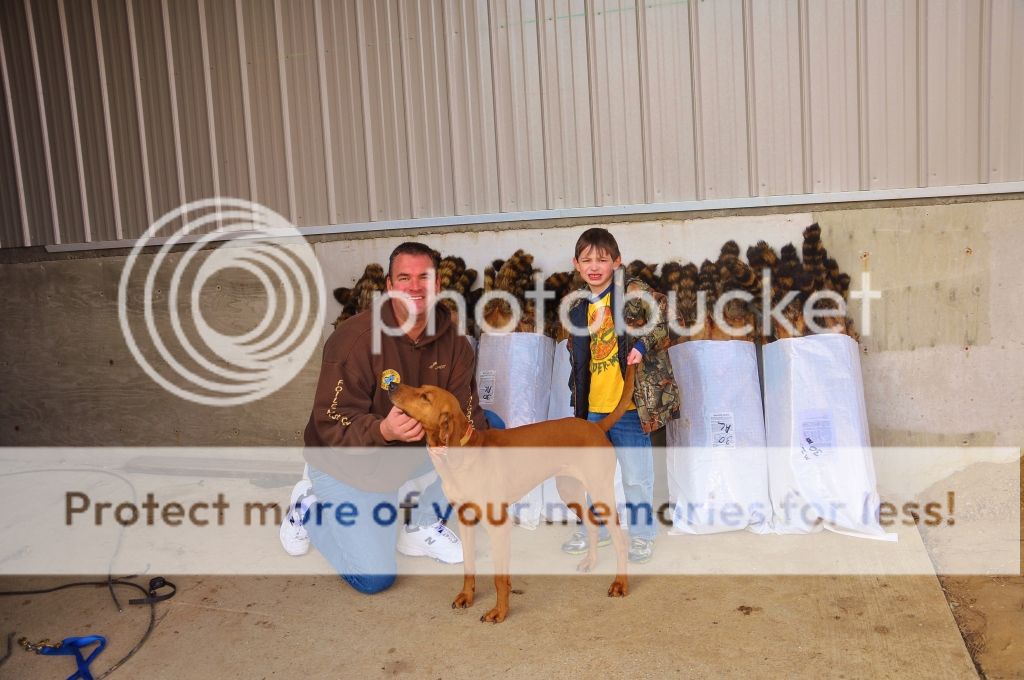 UKC Forums - Zepp's Coon Squallers