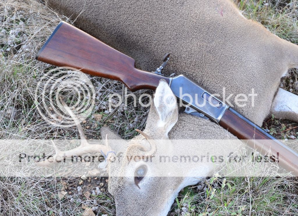 Hawk bullets? - 24hourcampfire