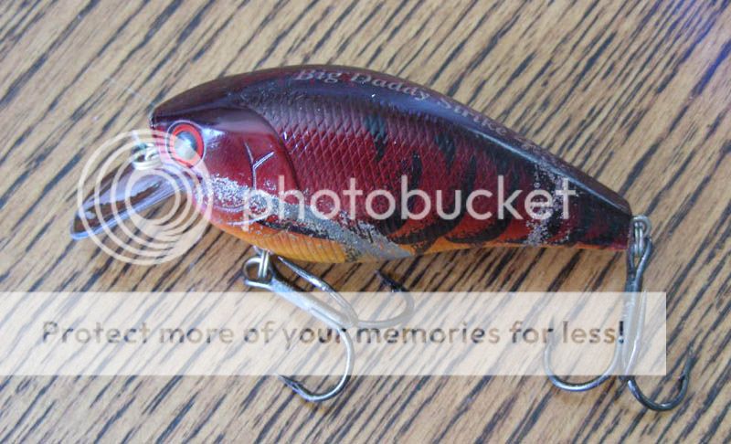 Best Beaver Gun? - 24hourcampfire